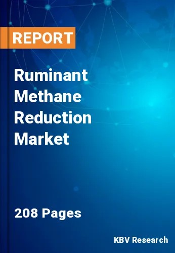 Ruminant Methane Reduction Market Size & Forecast | 2031