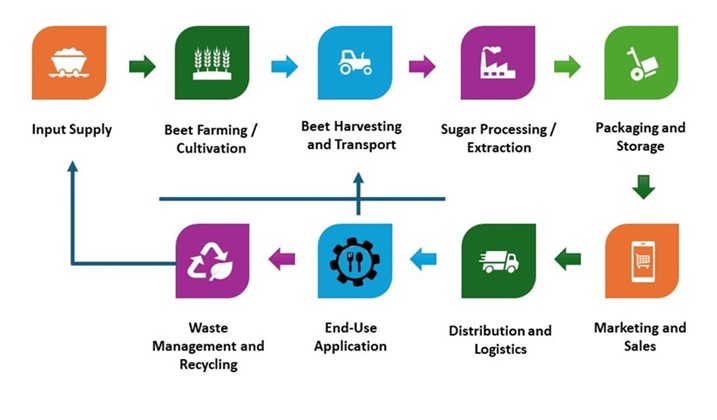 Beet Sugar Market Size & Industry Forecast Report to 2032